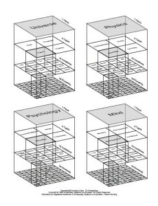 The Dramatica Table of Story Elements is a Model of the Mind | The ...