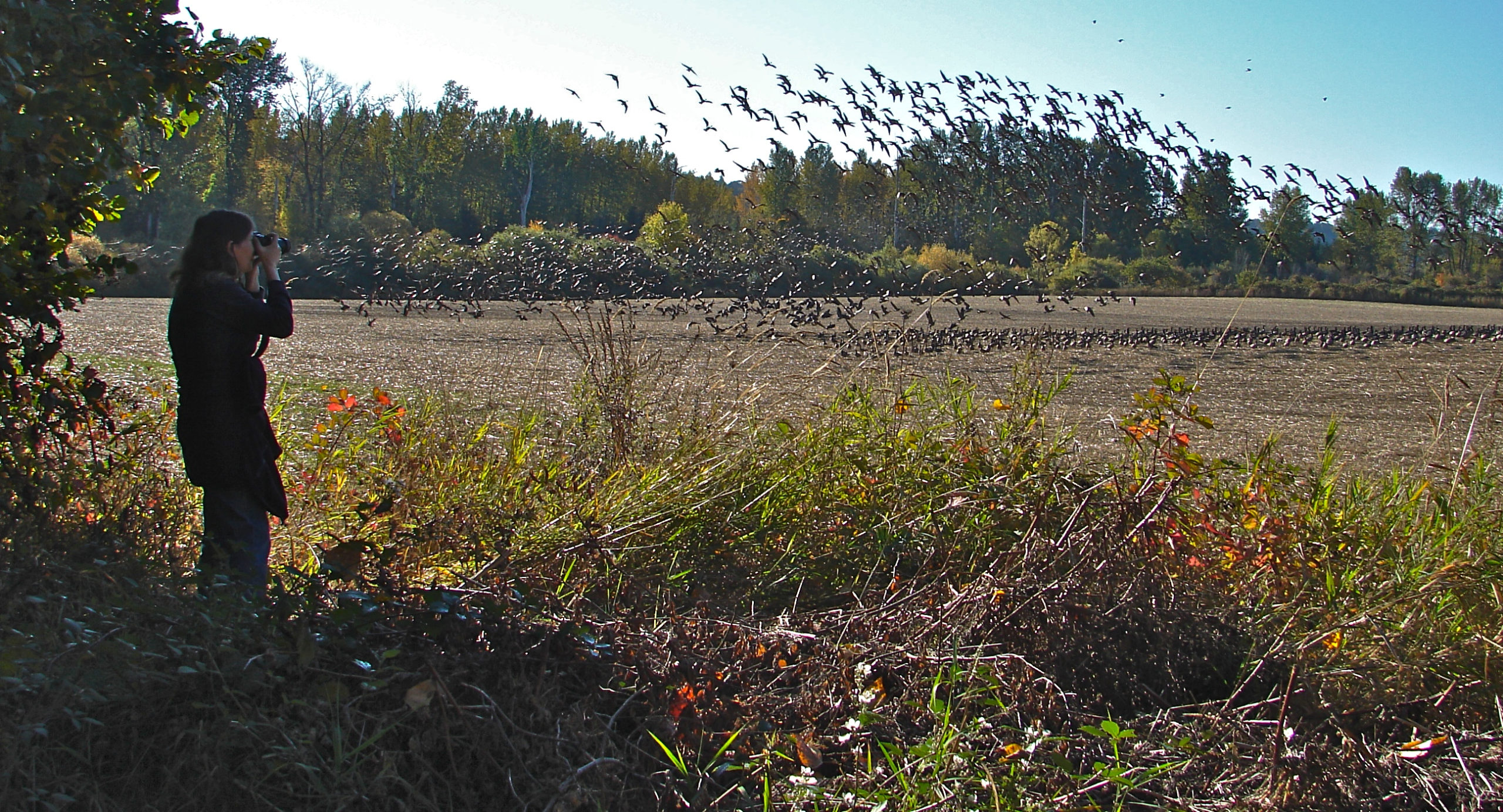Subject in Motion | Melanie Anne Phillips
